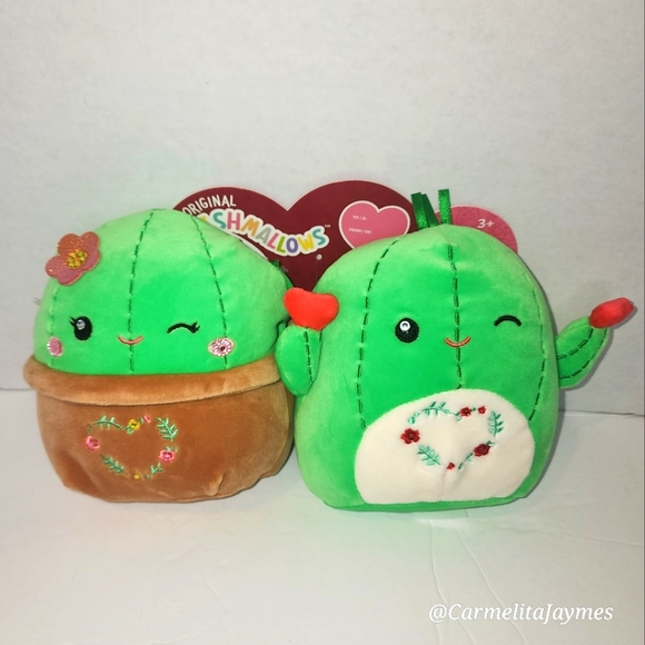 Squishmallows | Toys | Custom Cacti Set Marcellus Shadi Valentine 224 ...